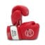 Rival RFX-AC Amateur Competition Fight Gloves – Red / Blue – Warrior ...
